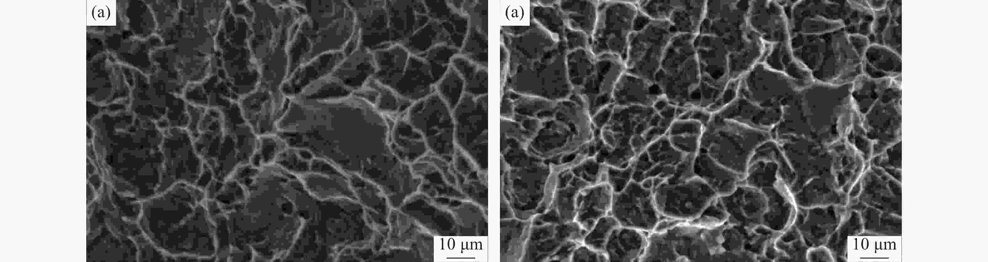 TA15钛合金薄板组织与拉伸性能