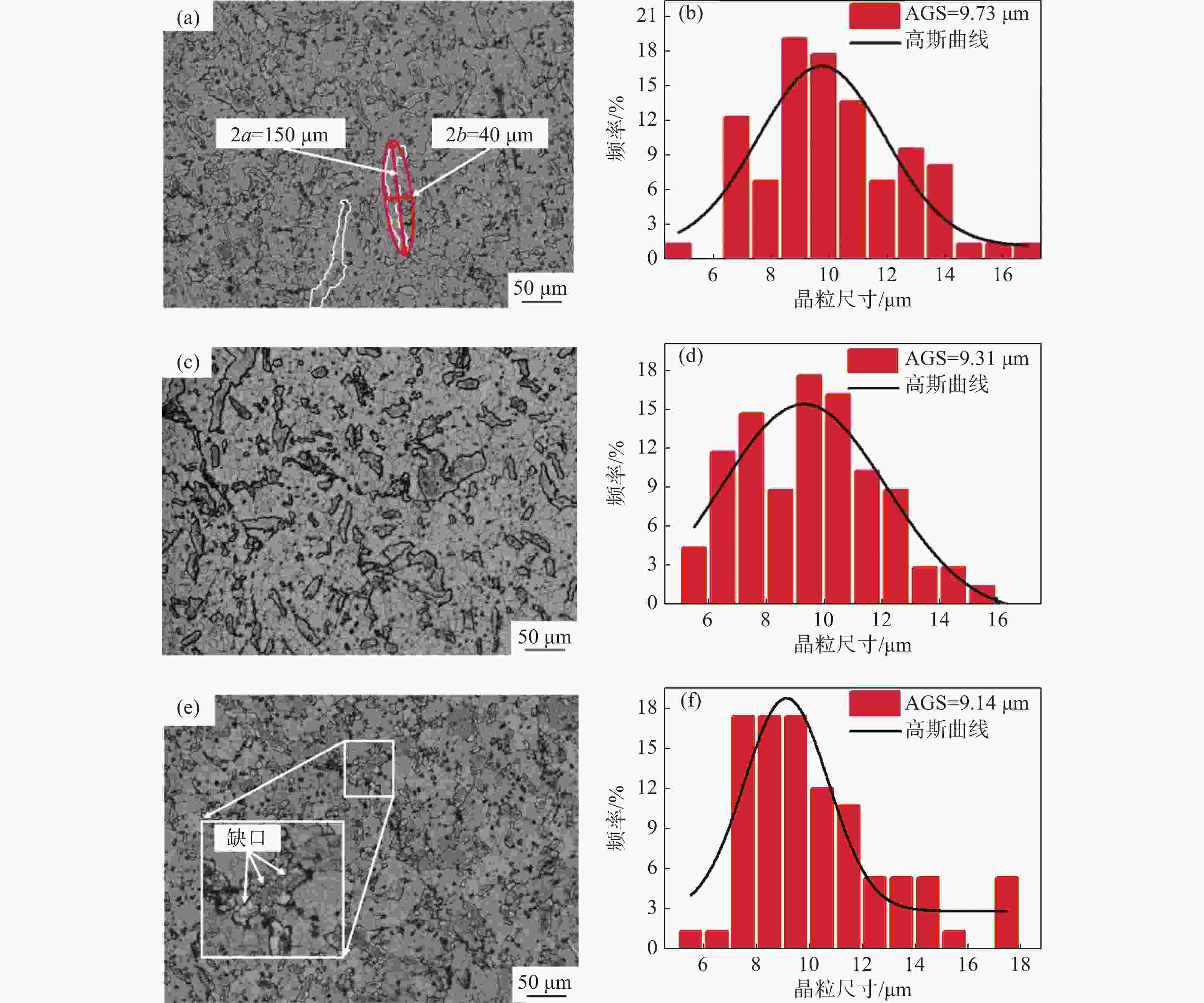 镁锂合金热处理温度对α/β相转变及晶粒尺寸的影响