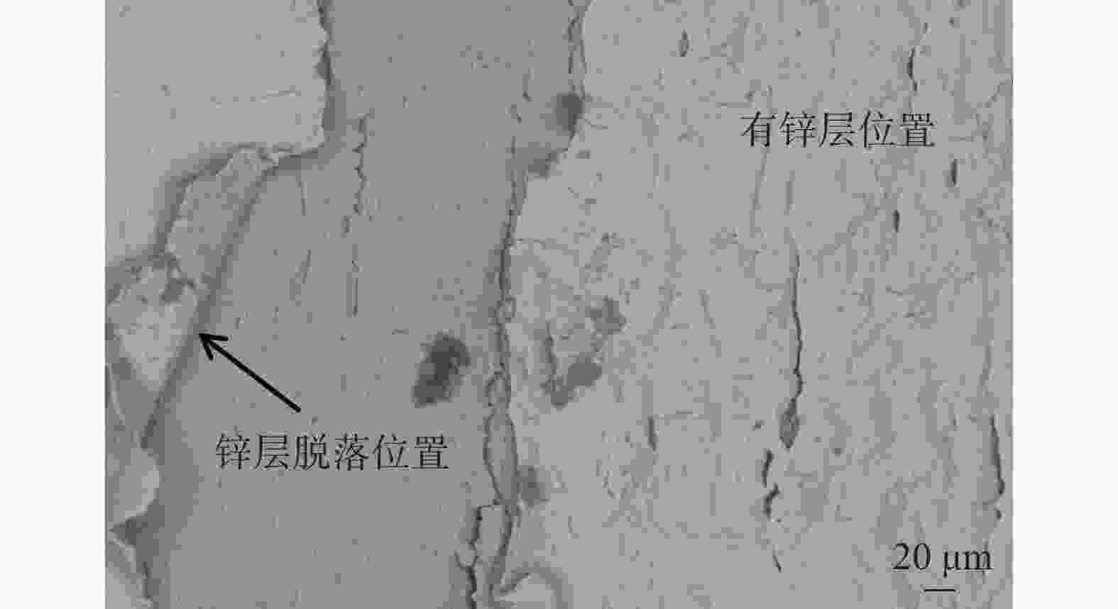 热镀锌DP980脱锌原因分析及措施