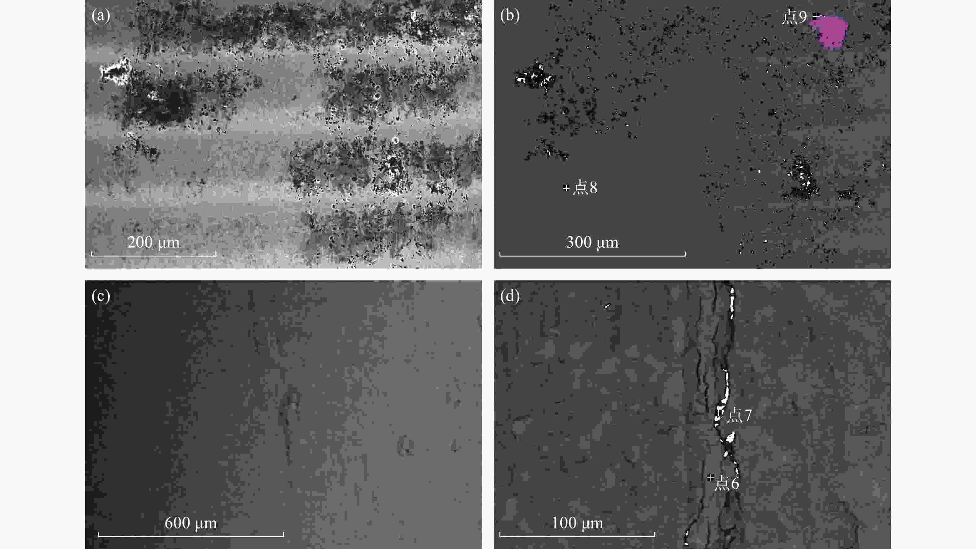 表面处理对Zr-4合金TREX均匀腐蚀性能的影响