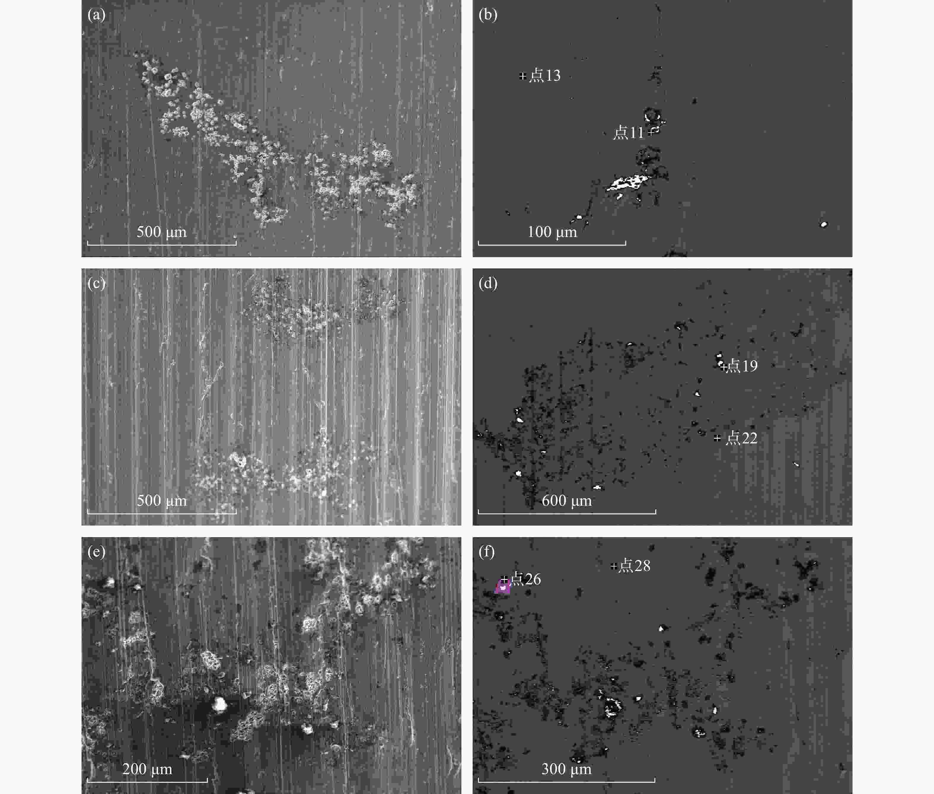 表面处理对Zr-4合金TREX均匀腐蚀性能的影响