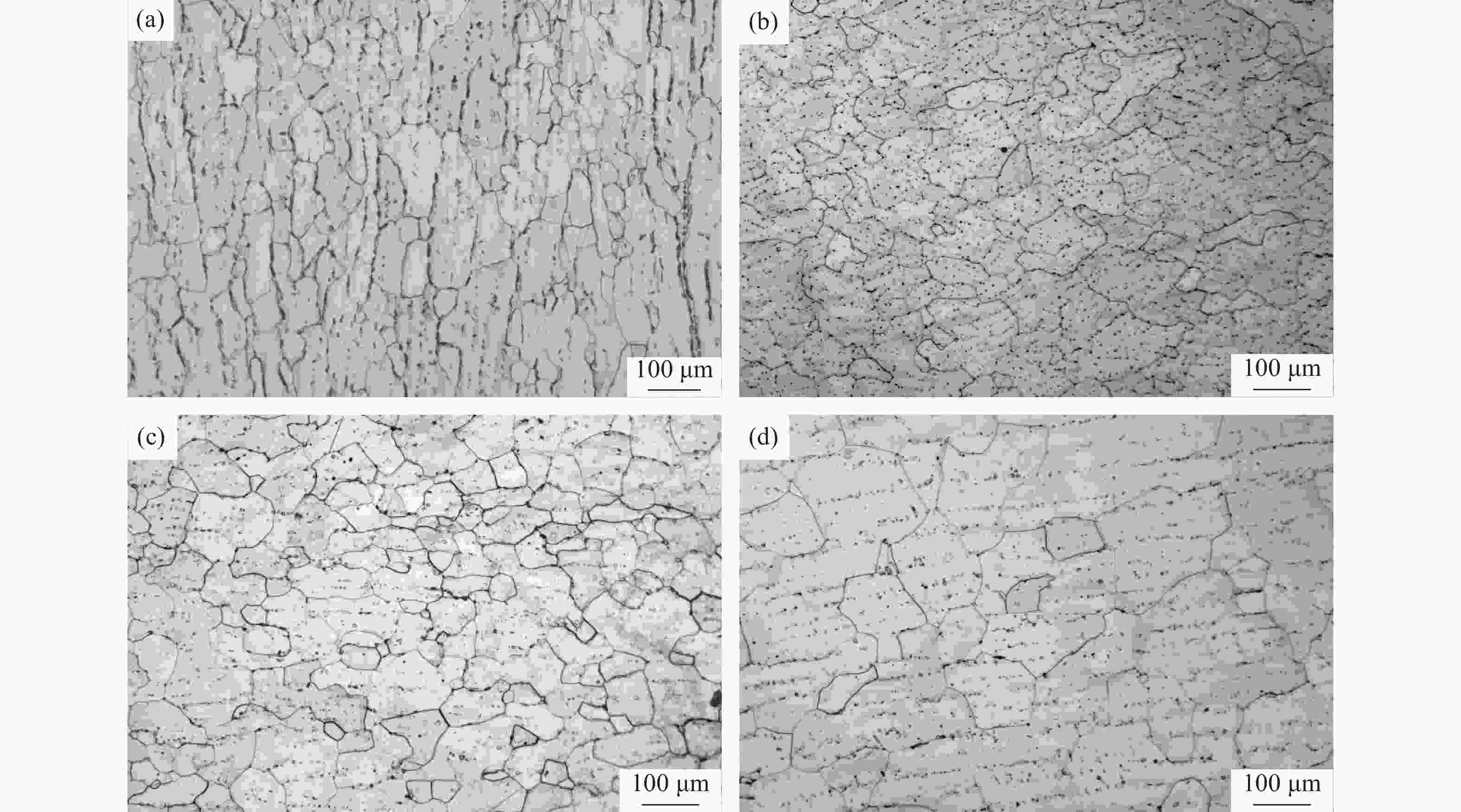 TA2轧制板材的组织与拉伸性能研究